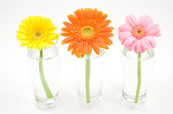 유토이미지 | 35700-0002057