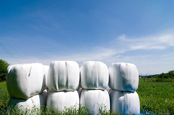 유토이미지 | 35700-0002069