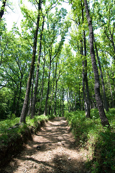 유토이미지 | 35700-0002141