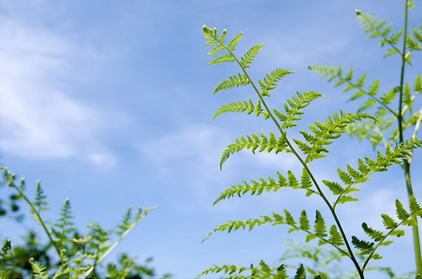 유토이미지 | 35700-0002149