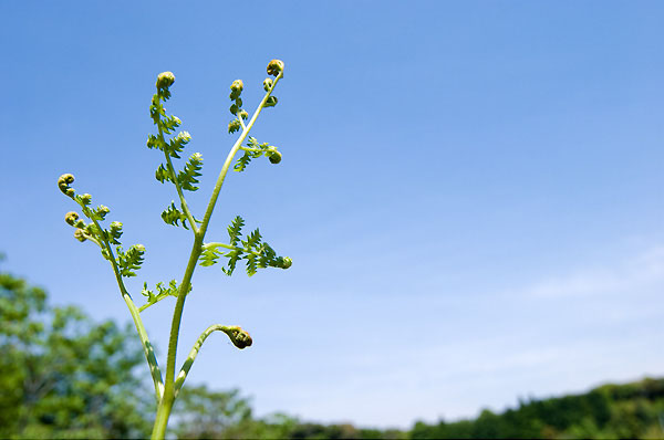 유토이미지 | 35700-0002151
