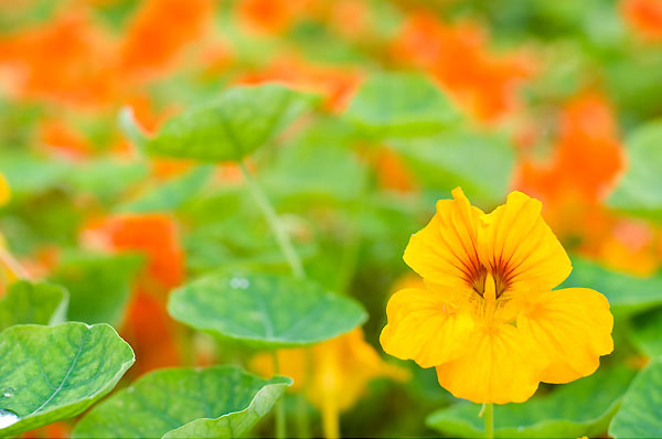 유토이미지 | 35700-0002245