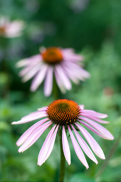 유토이미지 | 35700-0002247