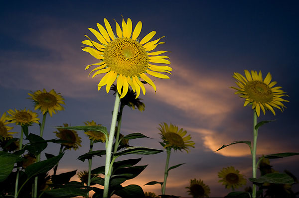 유토이미지 | 35700-0002311