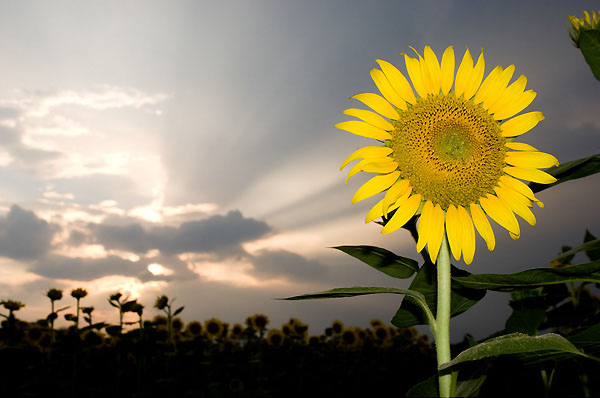 유토이미지 | 35700-0002312