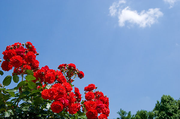 유토이미지 | 35700-0002517