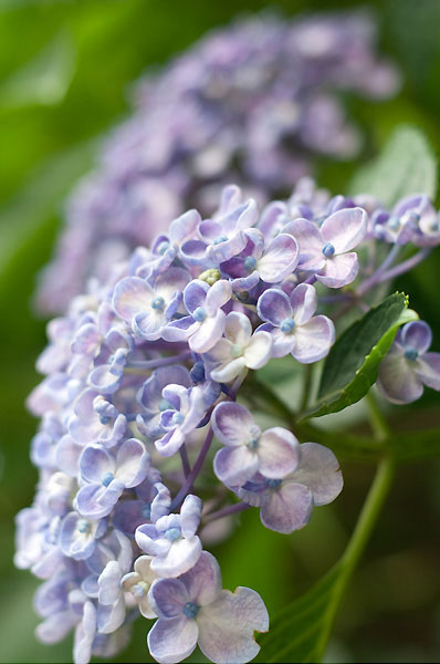 유토이미지 | 35871-0000218