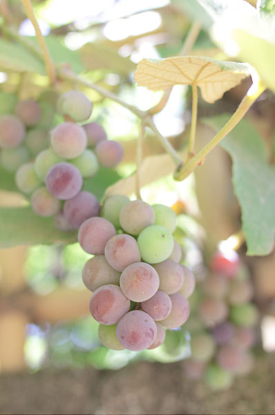 유토이미지 | 35871-0001105