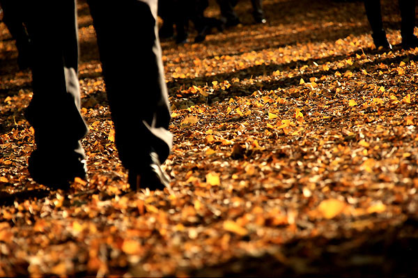 유토이미지 | 35874-0000005