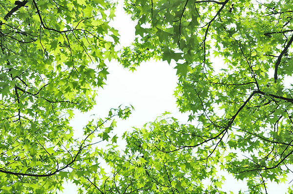 유토이미지 | 35900-0000254