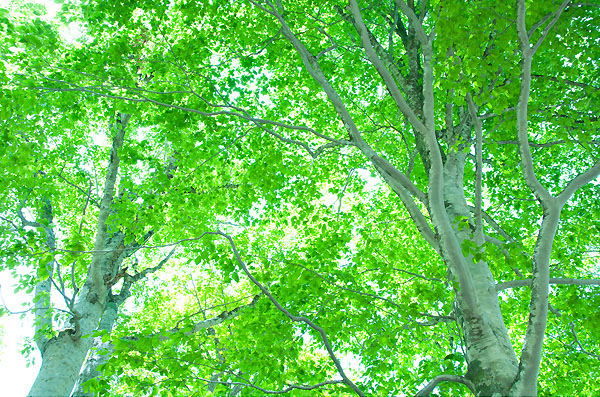 유토이미지 | 35900-0000508