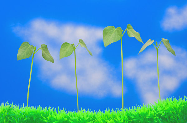 유토이미지 | 35900-0000523