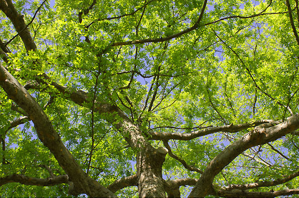 유토이미지 | 35900-0000791