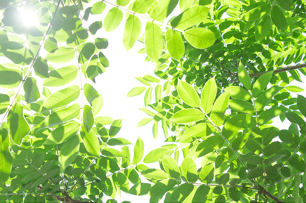 유토이미지 | 상세페이지 | 베이직샵 | 16004305 | 35900-0000813