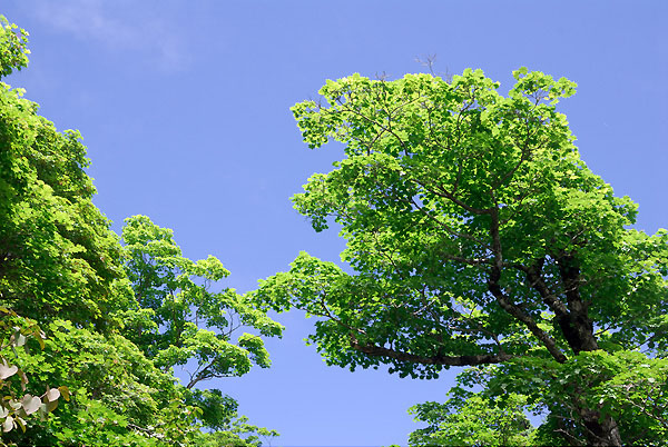 유토이미지 | 35922-0000299