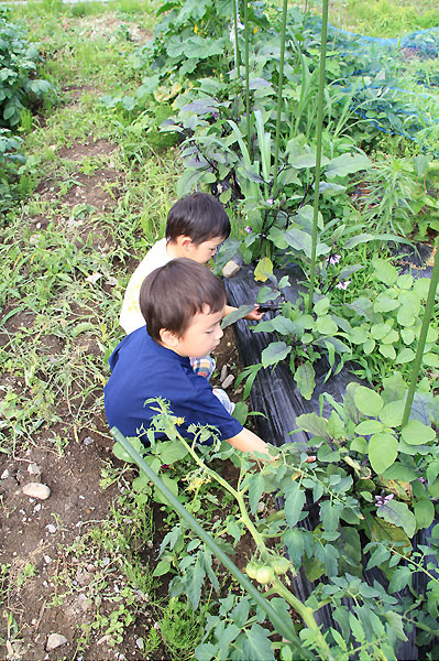 유토이미지 | 35993-0000276