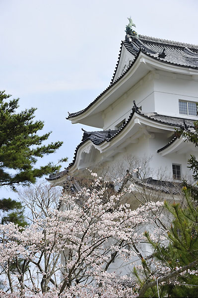 유토이미지 | 상세페이지 | 베이직샵 | 16028567 | 36008-0000447