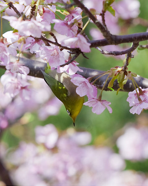 유토이미지 | 36014-0000005