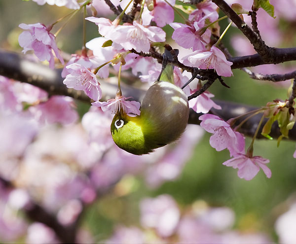 36014-0000007 | 유토이미지 | 상세페이지 | 베이직샵 | 16028802