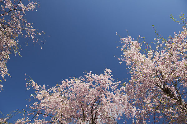 유토이미지 | 36014-0000130