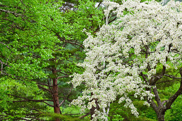 유토이미지 | 36014-0000195
