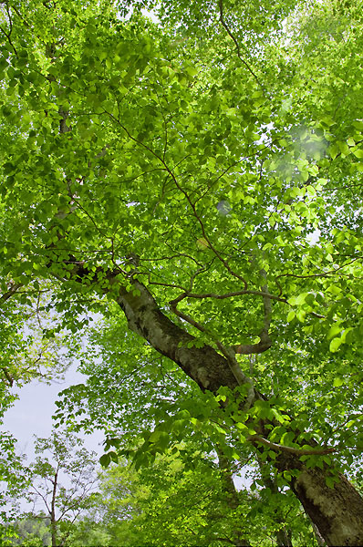 유토이미지 | 36014-0000253