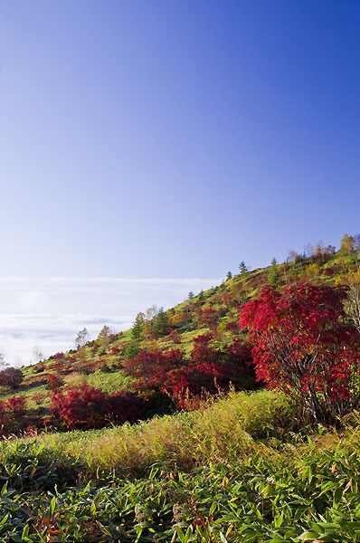 유토이미지 | 36014-0000889