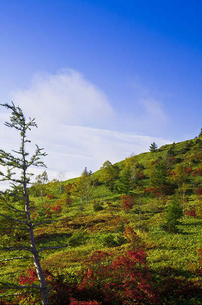 유토이미지 | 36014-0000897