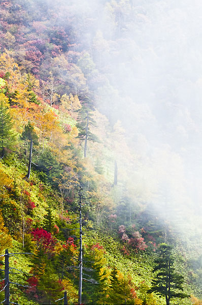 유토이미지 | 36014-0000955