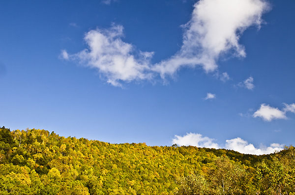 유토이미지 | 36014-0000980