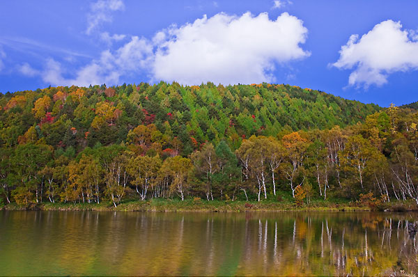 유토이미지 | 36014-0000988