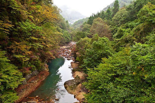 유토이미지 | 36014-0001019