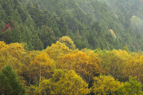 유토이미지 | 36014-0001025