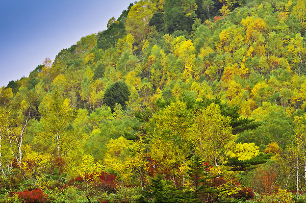 유토이미지 | 36014-0001055