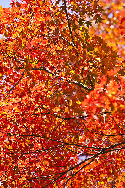 유토이미지 | 36014-0001075