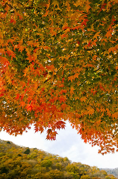 유토이미지 | 36014-0001176