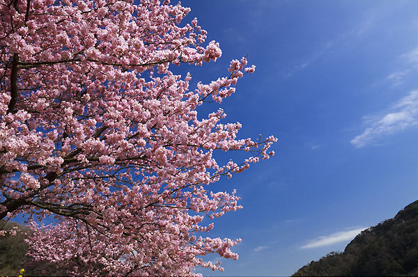 유토이미지 | 36014-0001188