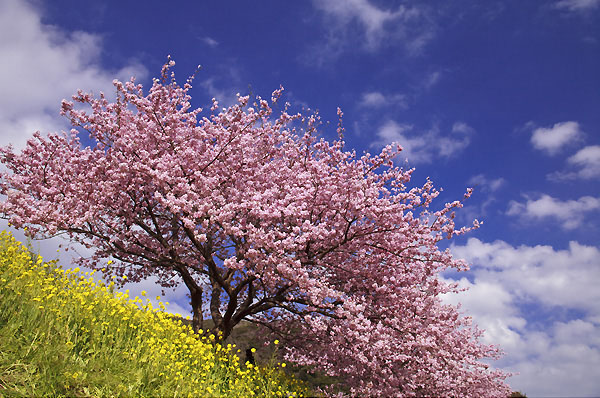유토이미지 | 36014-0001198