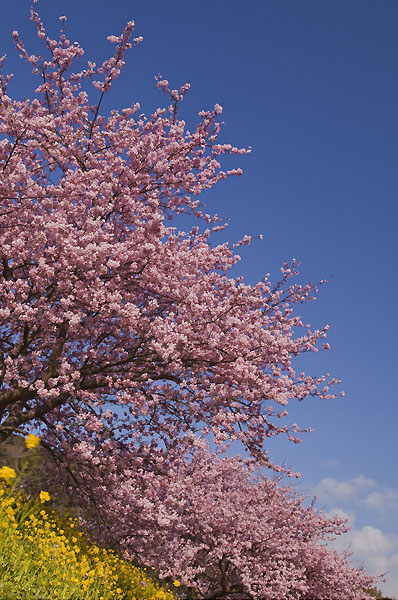 유토이미지 | 36014-0001202