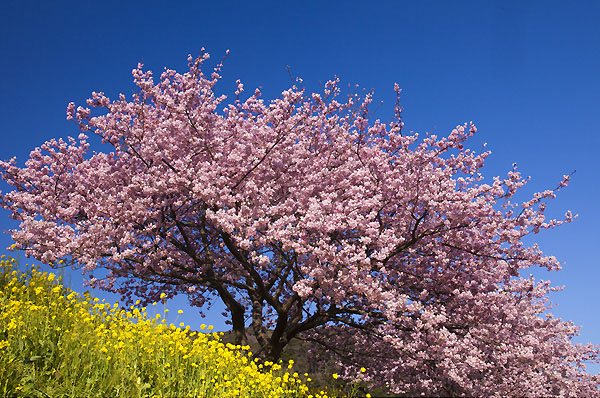 유토이미지 | 36014-0001208