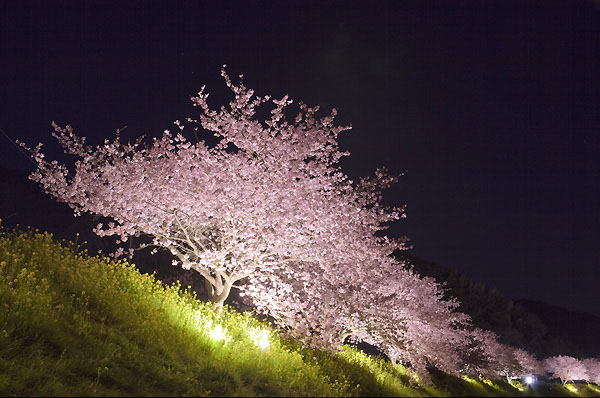 유토이미지 | 36014-0001224