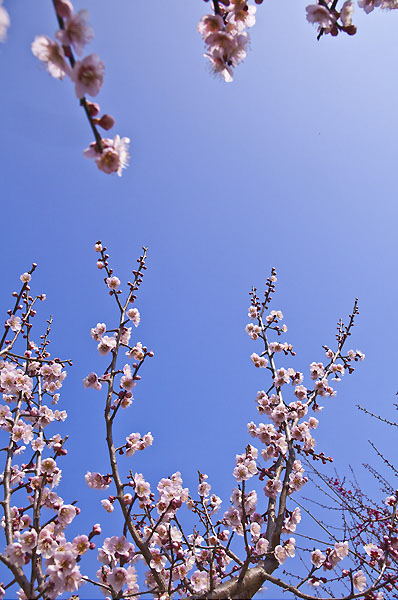 유토이미지 | 36014-0001252