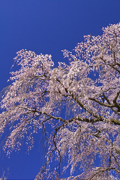 유토이미지 | 36014-0001360