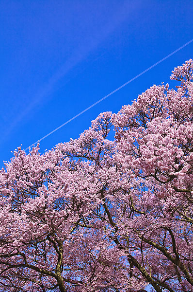 유토이미지 | 36014-0001471