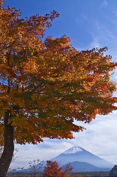 유토이미지 | 36014-0001536