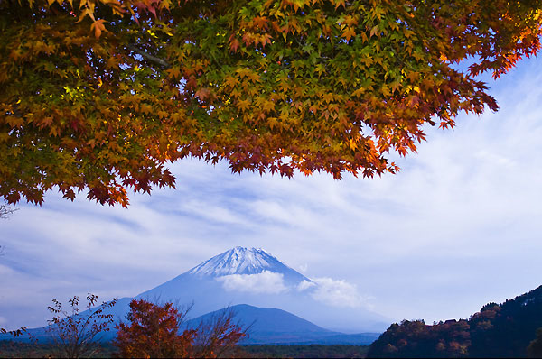 유토이미지 | 36014-0001542