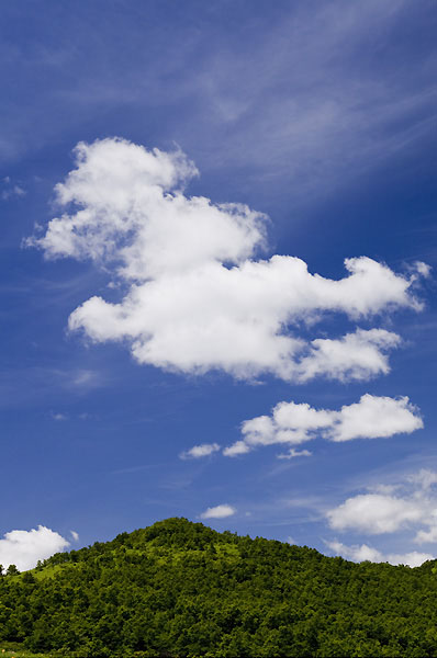 유토이미지 | 36014-0001981