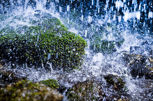 유토이미지 | 36014-0002150