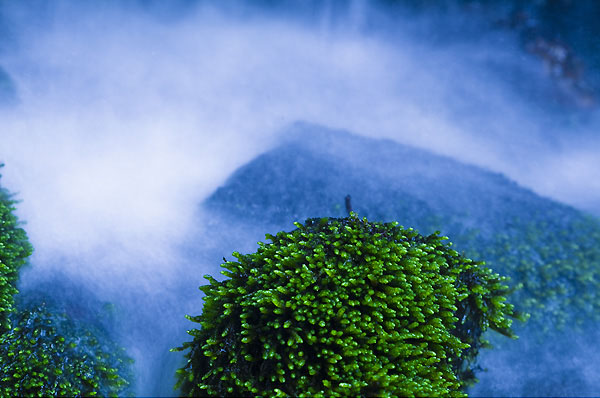 유토이미지 | 36014-0002160