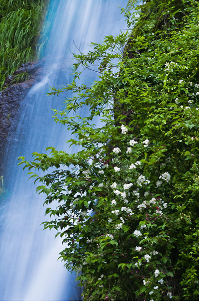 유토이미지 | 36014-0002196